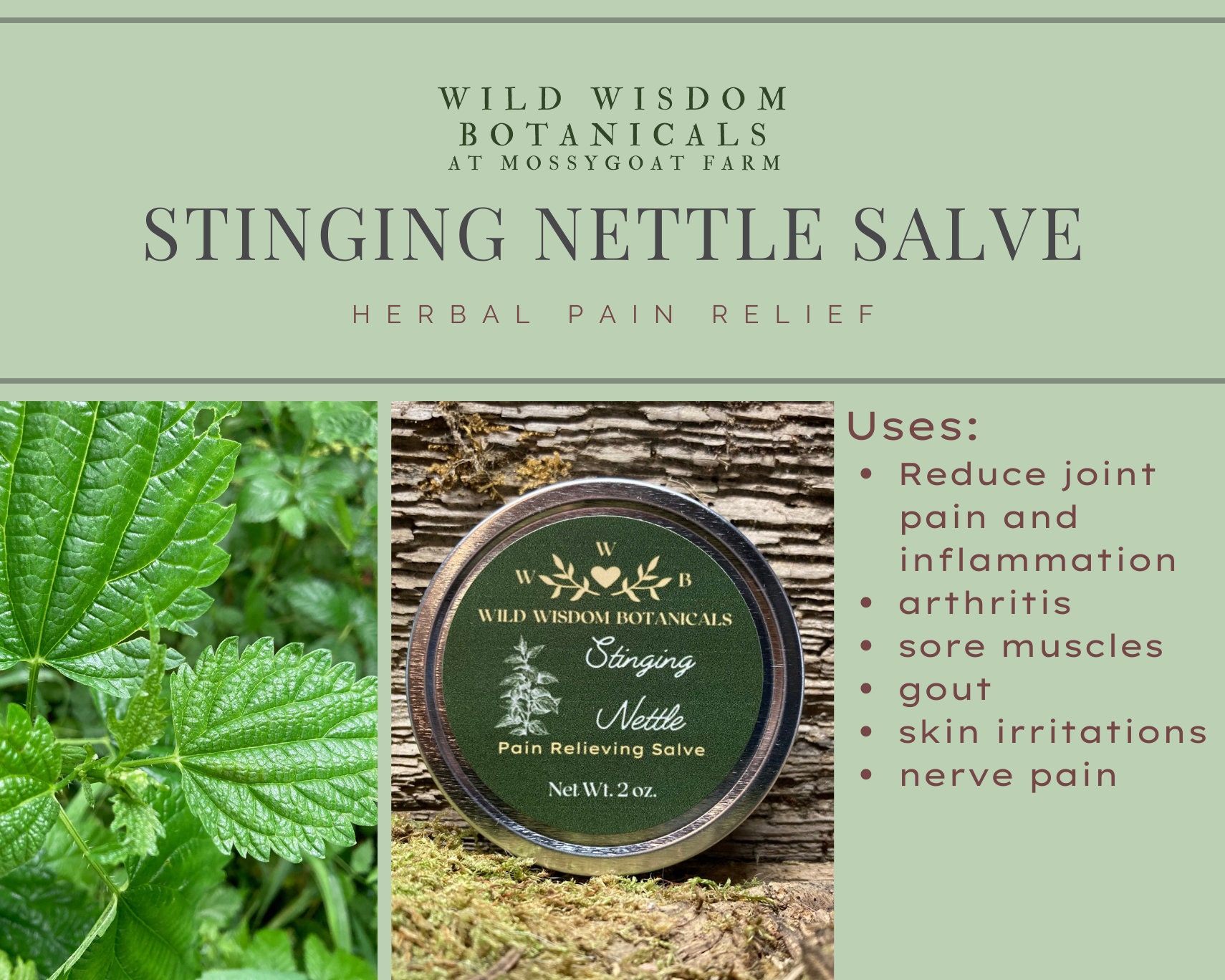 Stinging Nettle Salve | Wild Wisdom Botanicals - Etsy