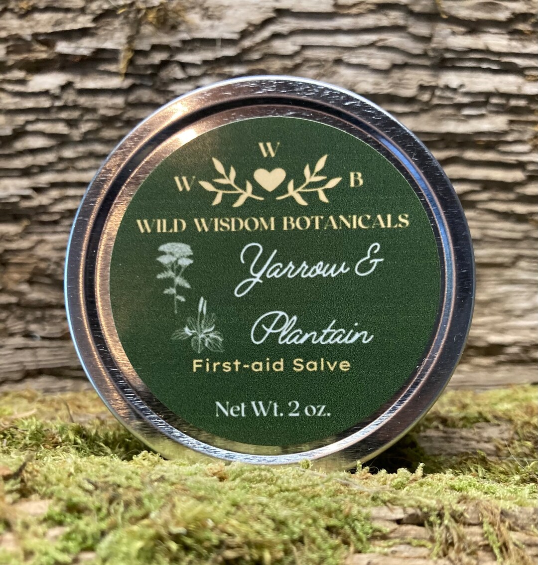 Yarrow & Plantain First Aid Salve | Wild Wisdom Botanicals - Etsy