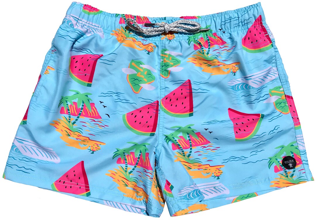 Molokai Watermelons Swim Trunks - Etsy