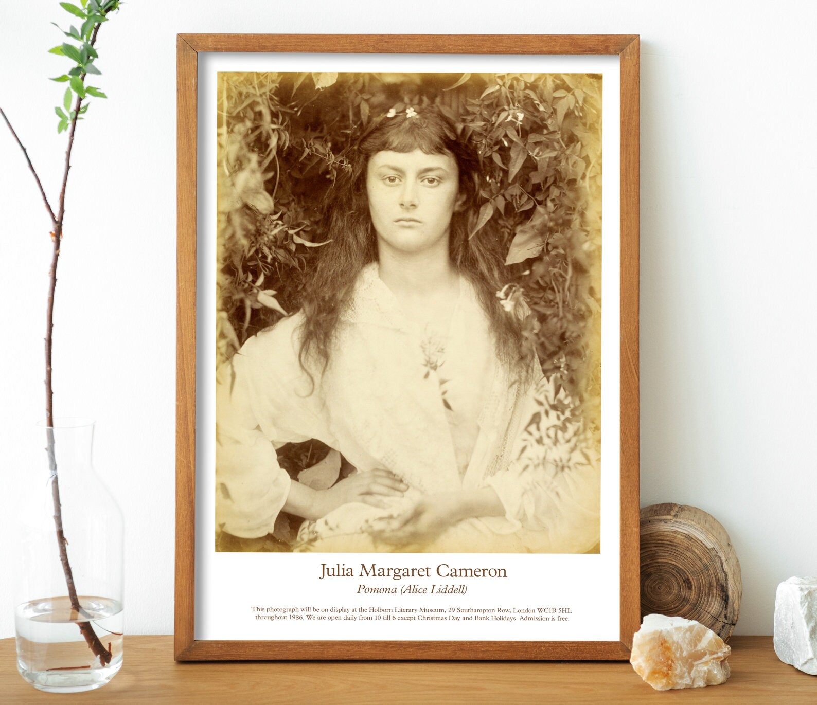 Alice Liddell alice in Wonderland Portrait by Julia Margaret Cameron ...