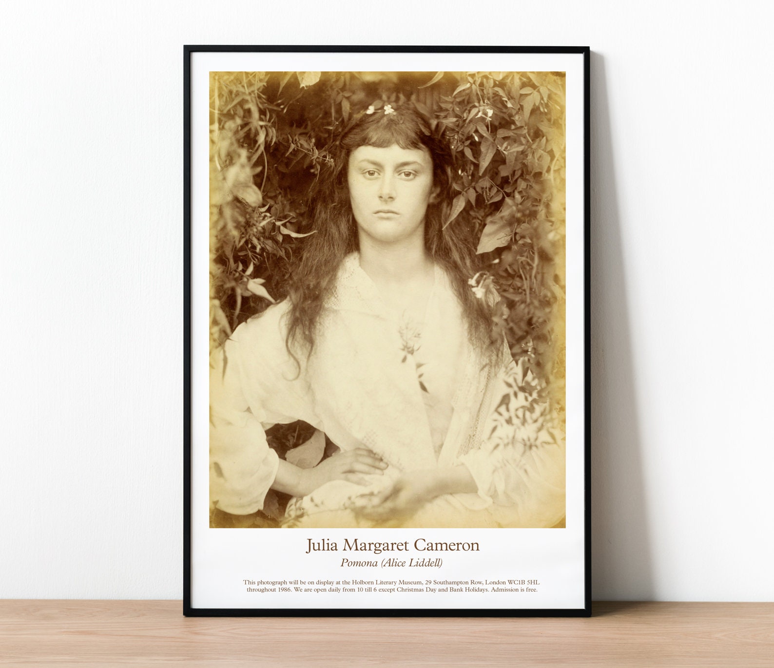 Alice Liddell (alice in Wonderland) Portrait by Julia Margaret Cameron ...