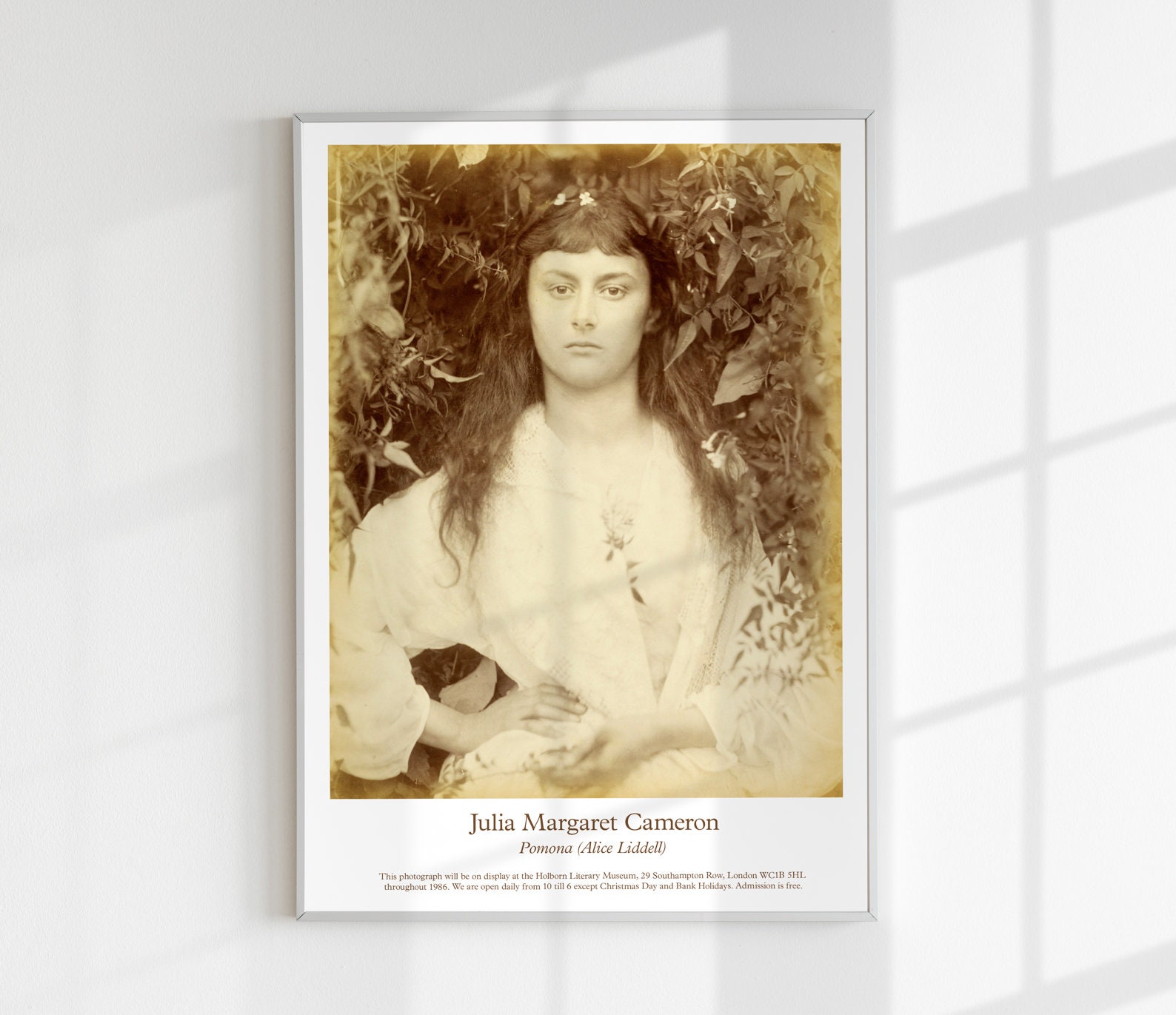 Alice Liddell alice in Wonderland Portrait by Julia Margaret Cameron ...