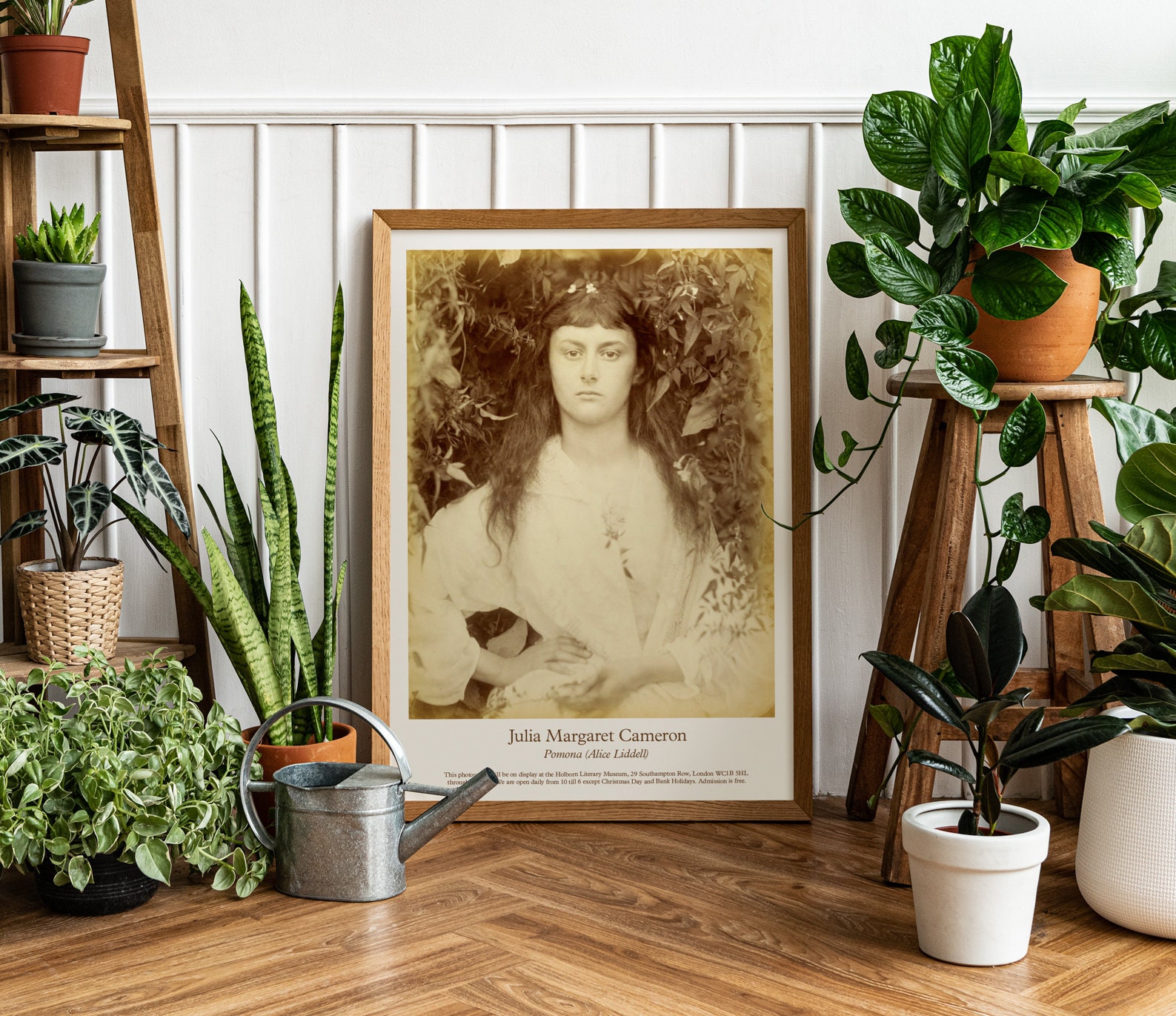 Alice Liddell alice in Wonderland Portrait by Julia Margaret Cameron ...