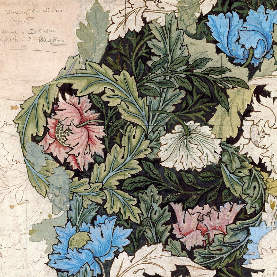 William Morris Poster Drawings & Designs Exhibition, Morris Art Print ...