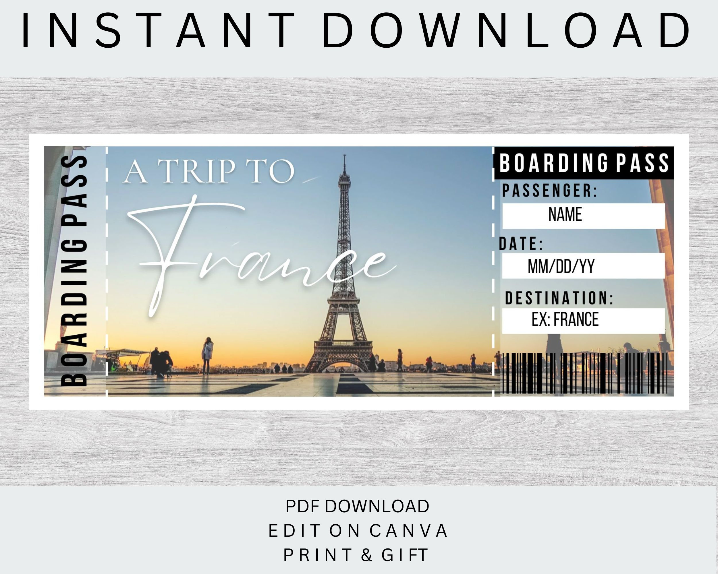 French Boarding Pass Template