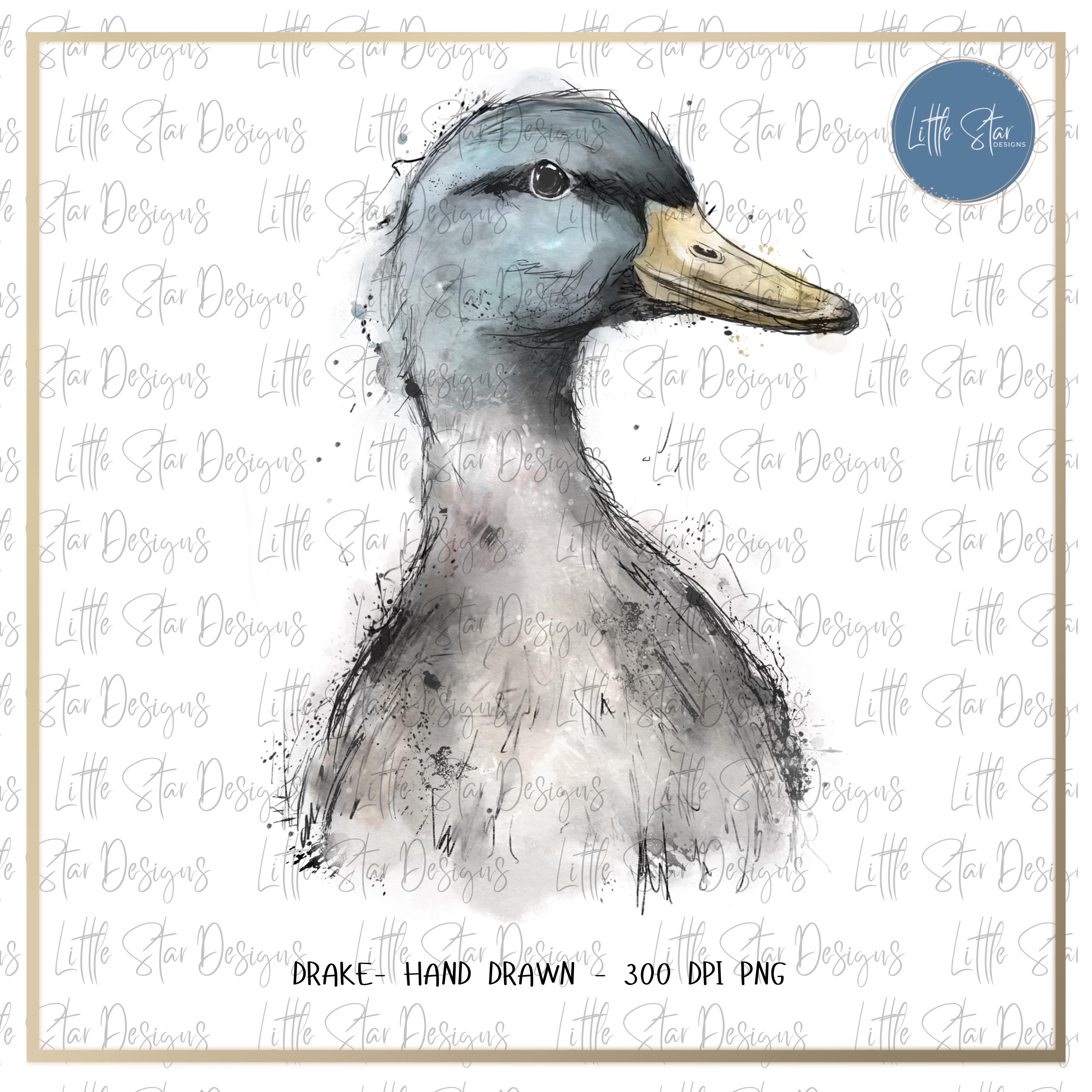 Drake/ Duck/ PNG Illustration/ Watercolour Hand Drawn Artwork ...