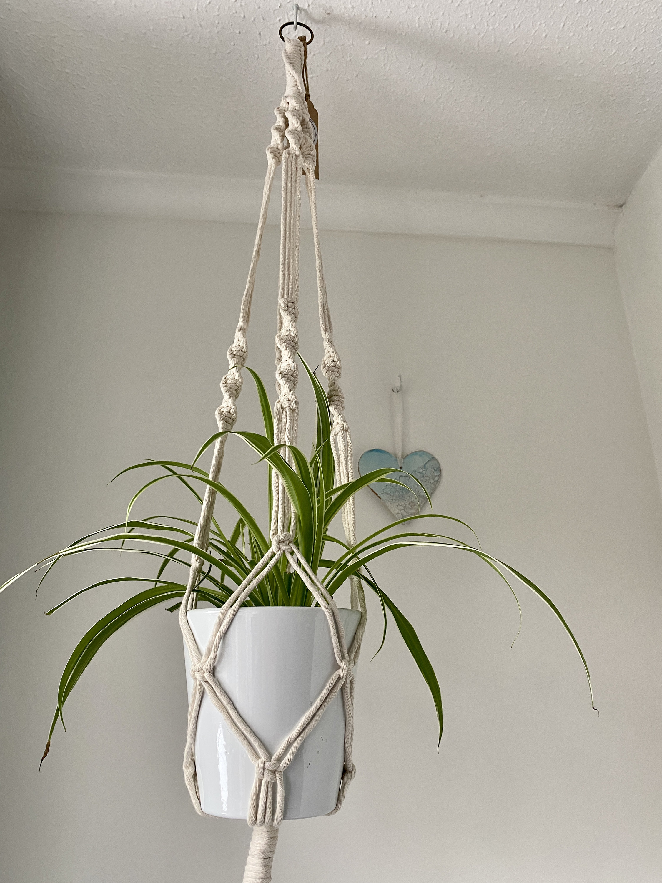 Macrame Ceiling Plant Hanger Etsy