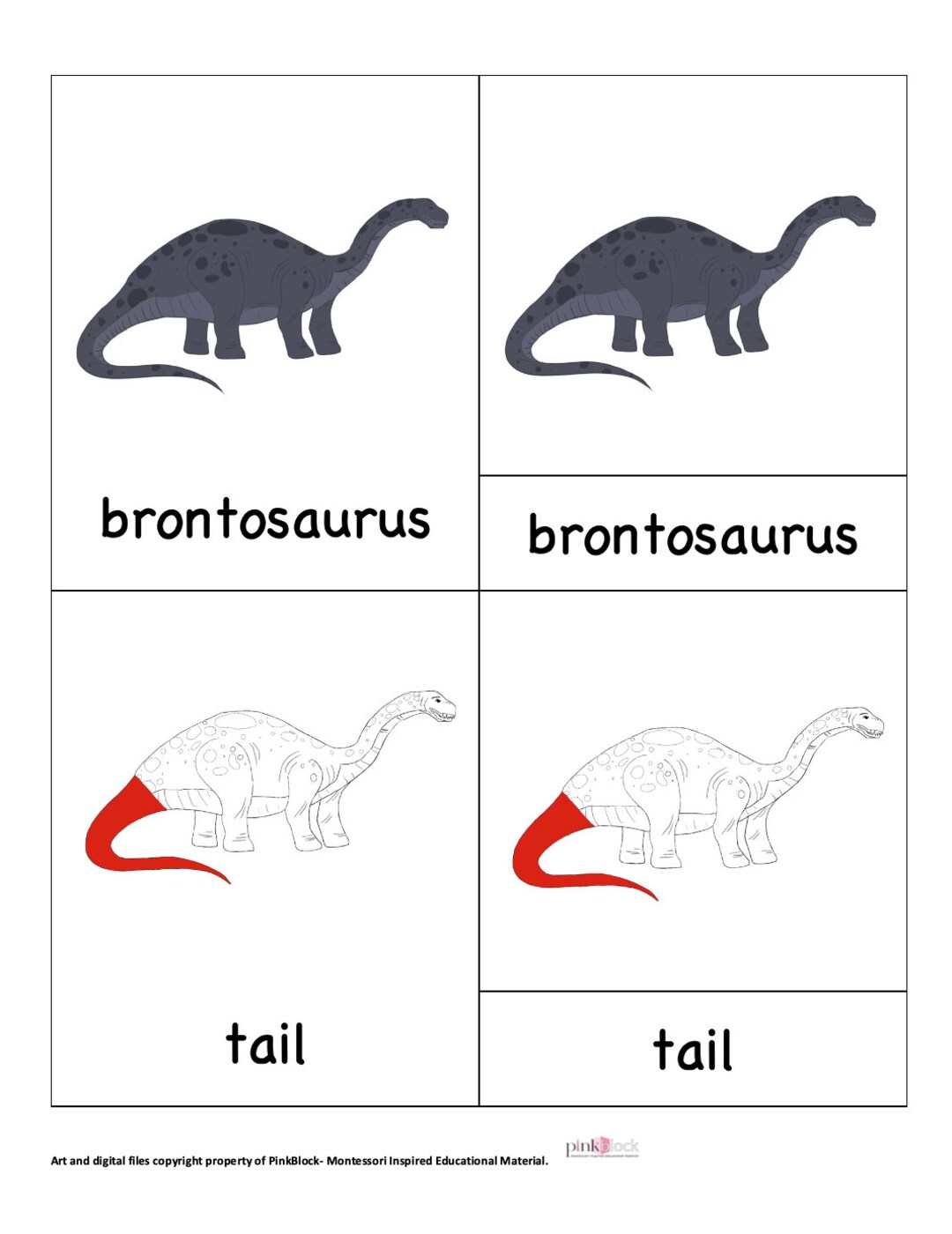 Montessori Inspired Brontosaurus Nomenclature Cards - Etsy