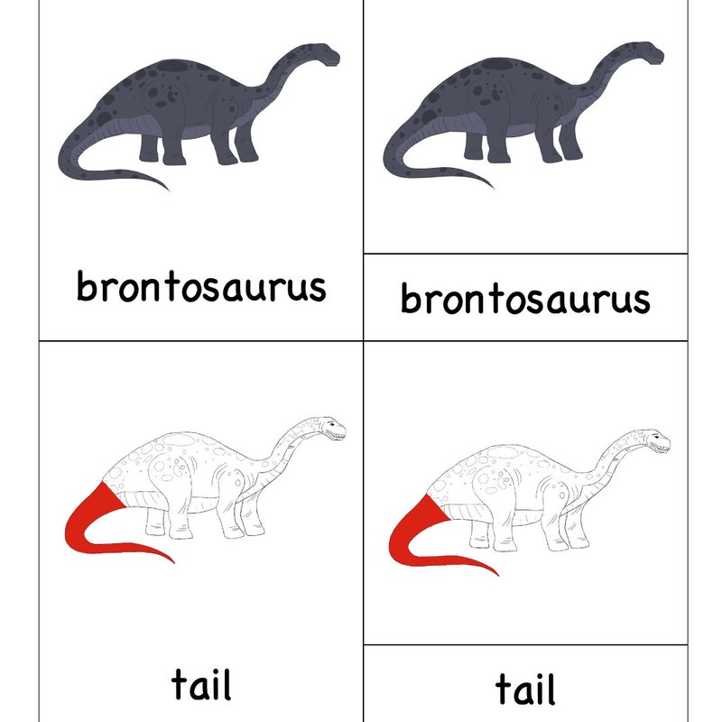 Montessori Dinosaur - Etsy