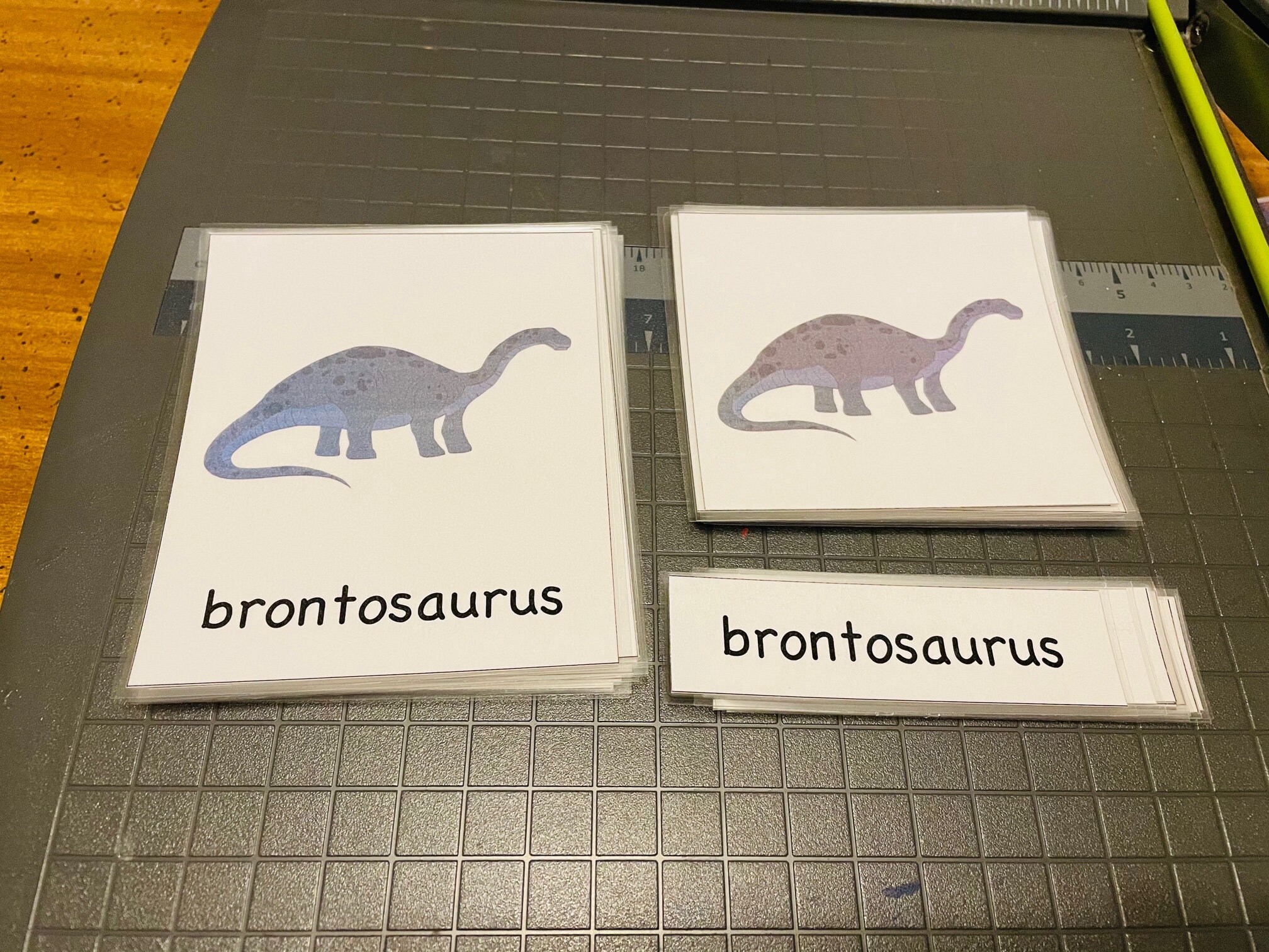 Montessori Inspired Brontosaurus Nomenclature Cards - Etsy