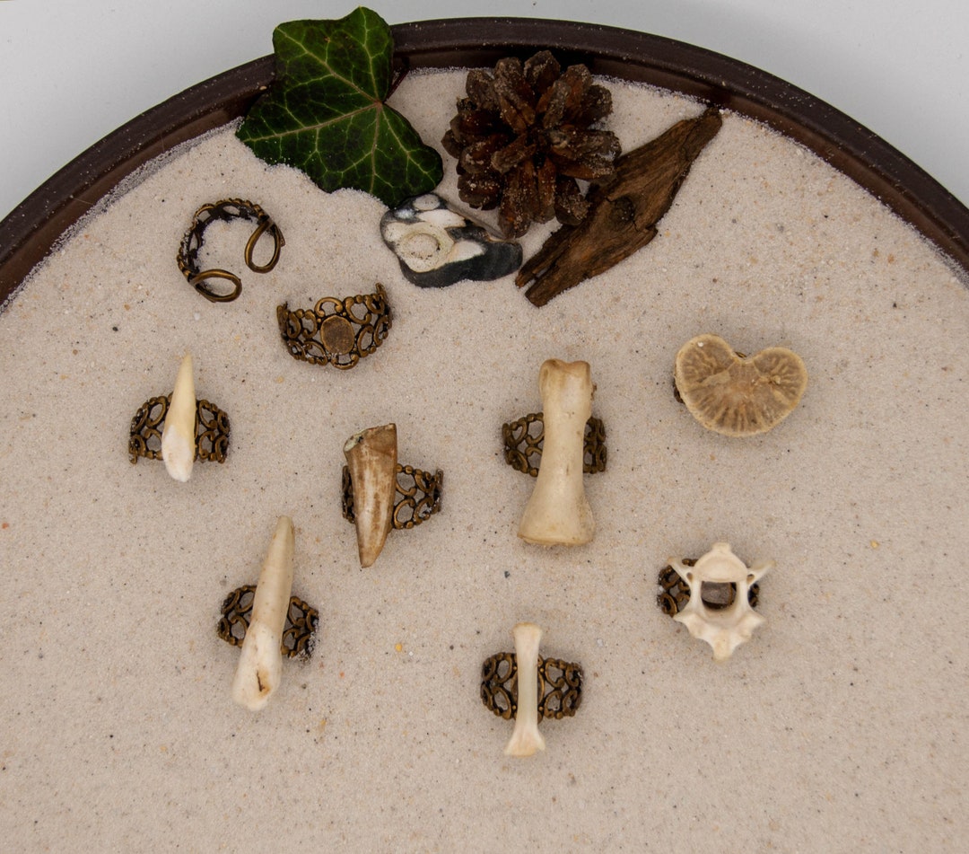 Echter Knochenring Tier Knochen Ring auf Antik Bronze-Finish ...