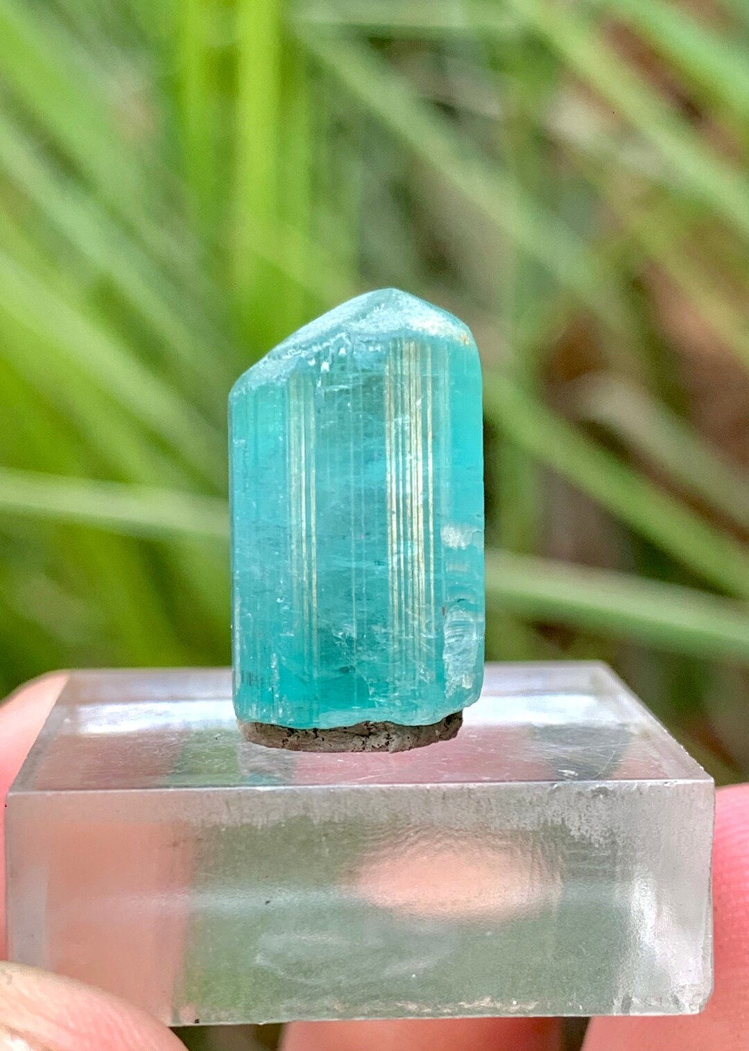 Paraiba Color Natural Tourmaline Terminated Crystal From Afghanistan ...