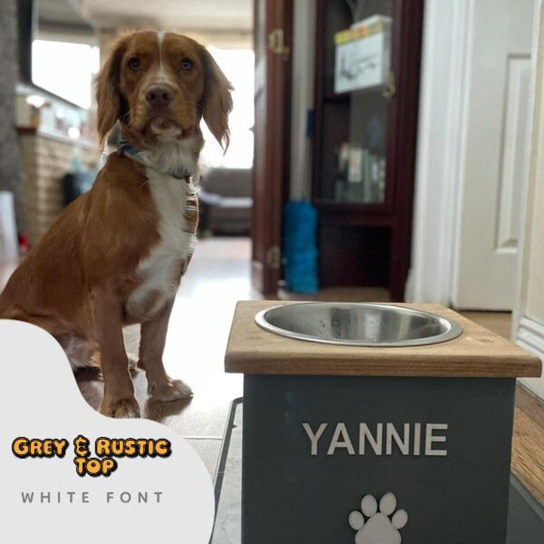 Custom Dog Bowl Stand, Feeding Station, Pearsonlised: Solid Pine ( 21cm ...