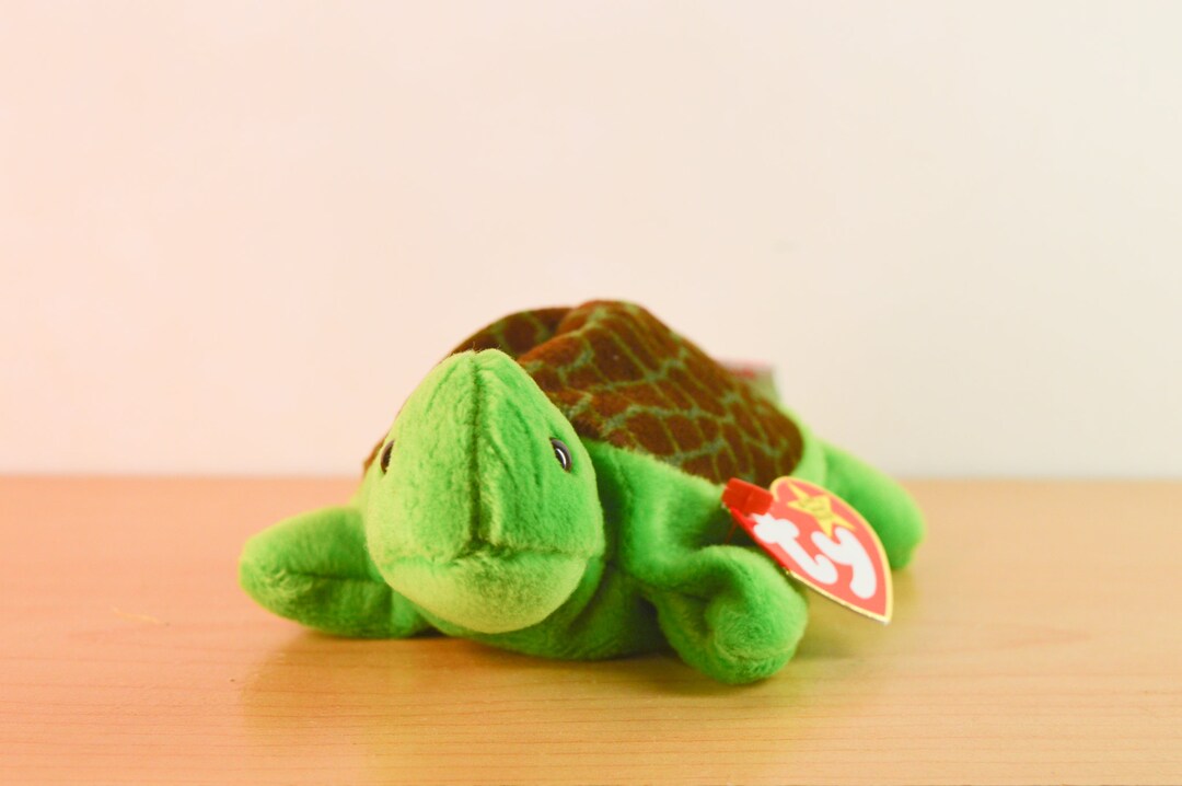 TY Beanie Baby / Speedy the Turtle / Vintage / Great Condition ...