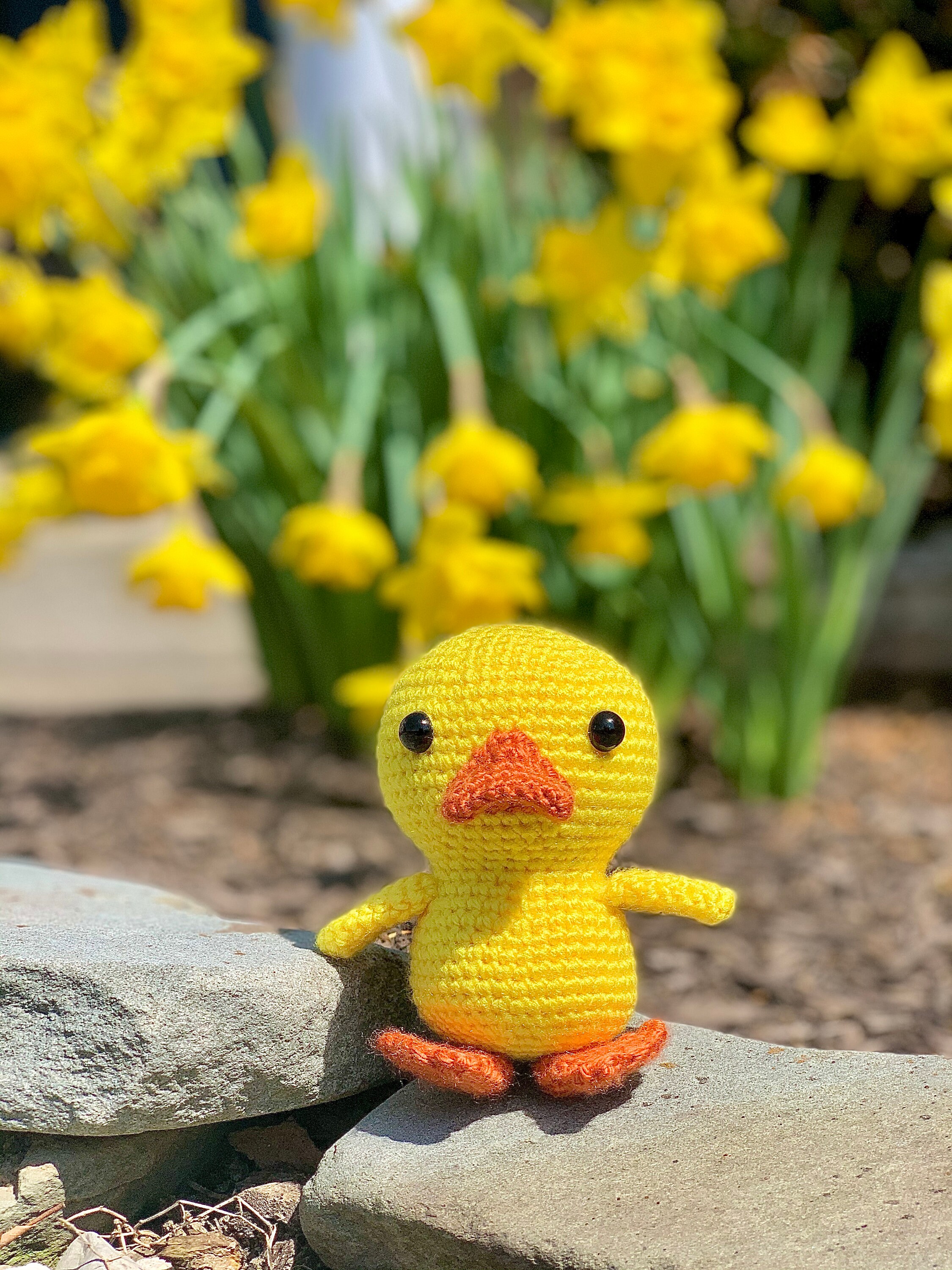 Duck Crochet Pattern - Etsy