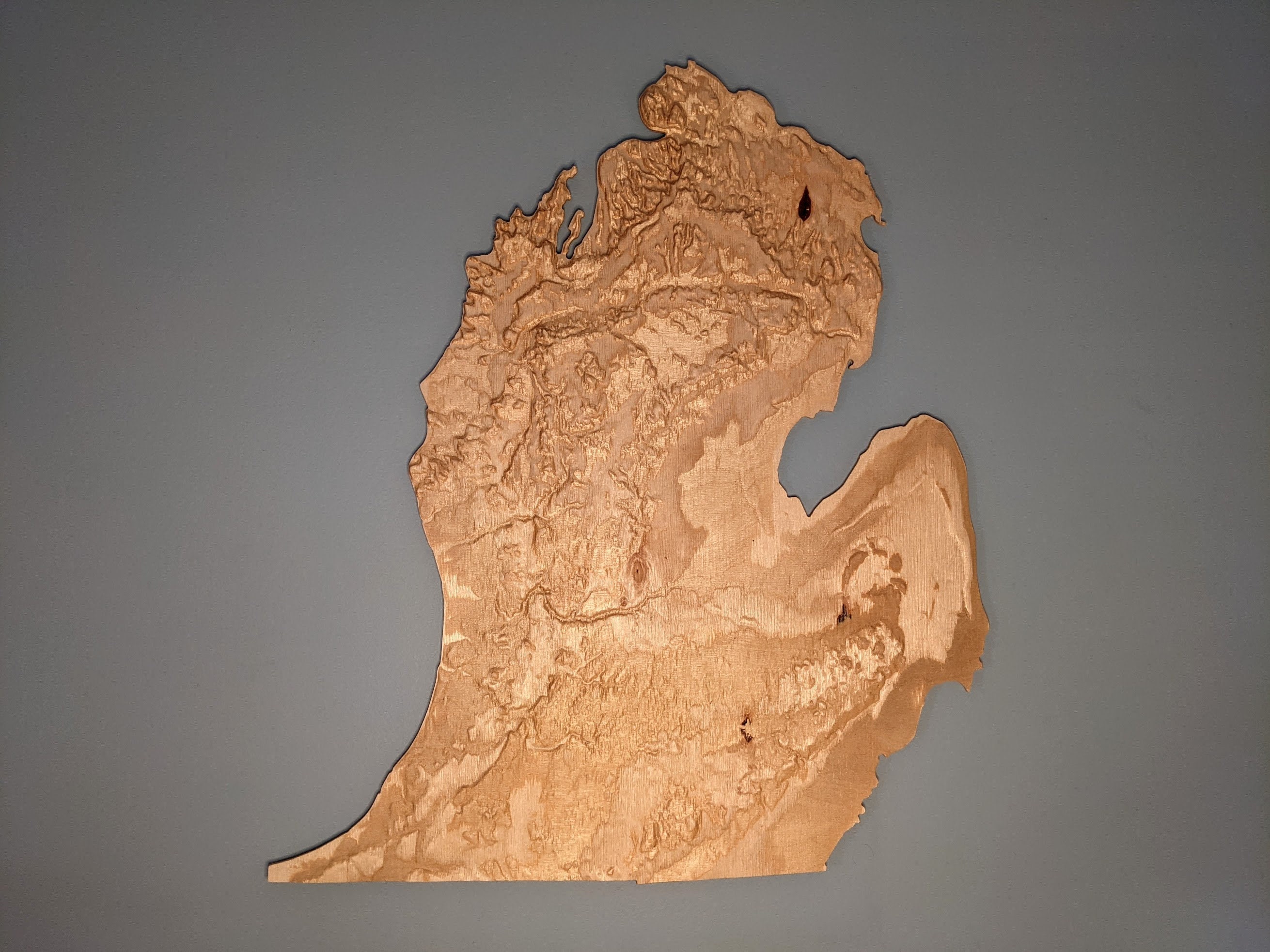 Michigan State 'mitten' 3D Topographic Map Wood Relief Carving - Etsy