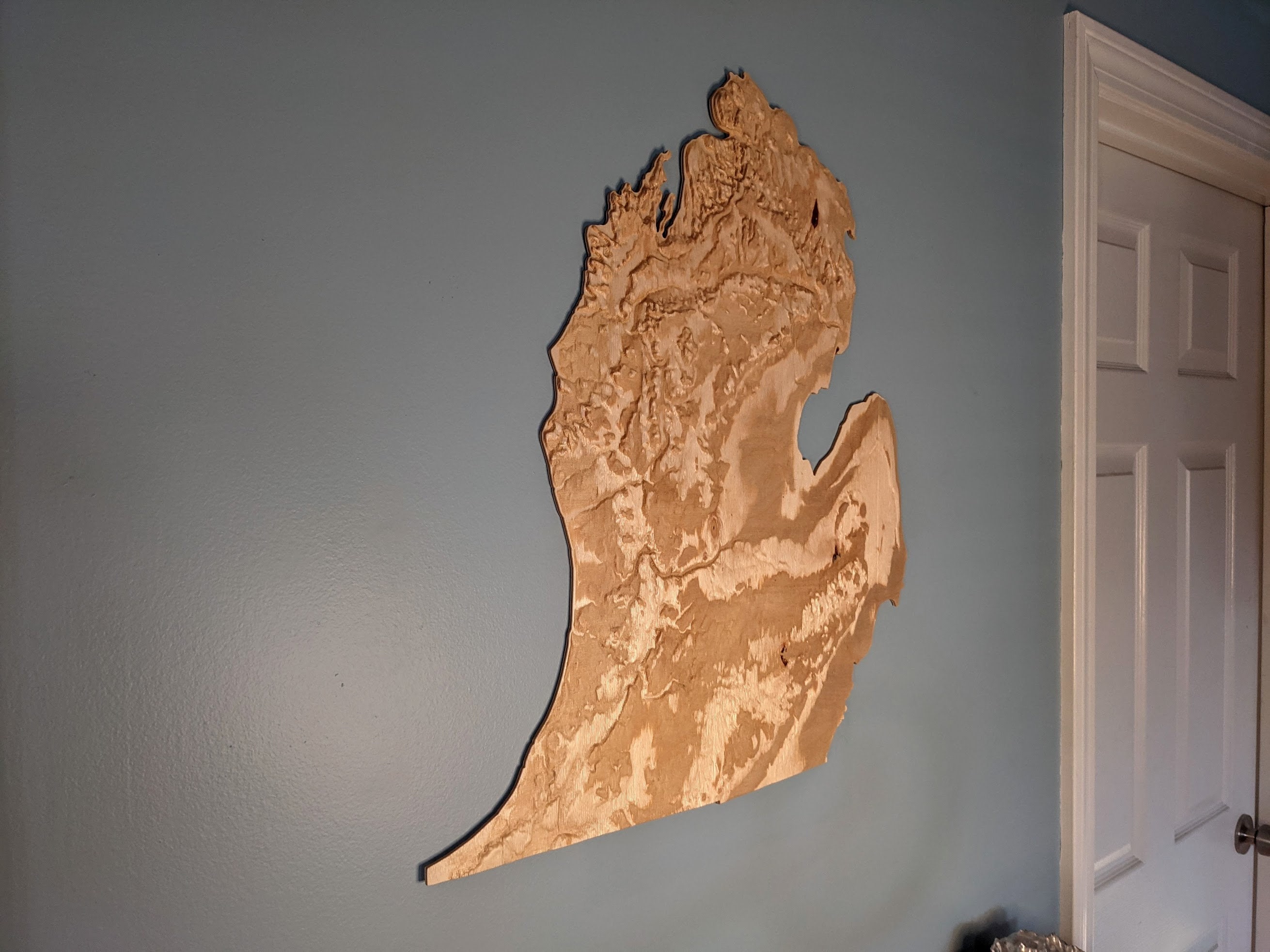 Michigan State 'mitten' 3D Topographic Map Wood Relief Carving - Etsy
