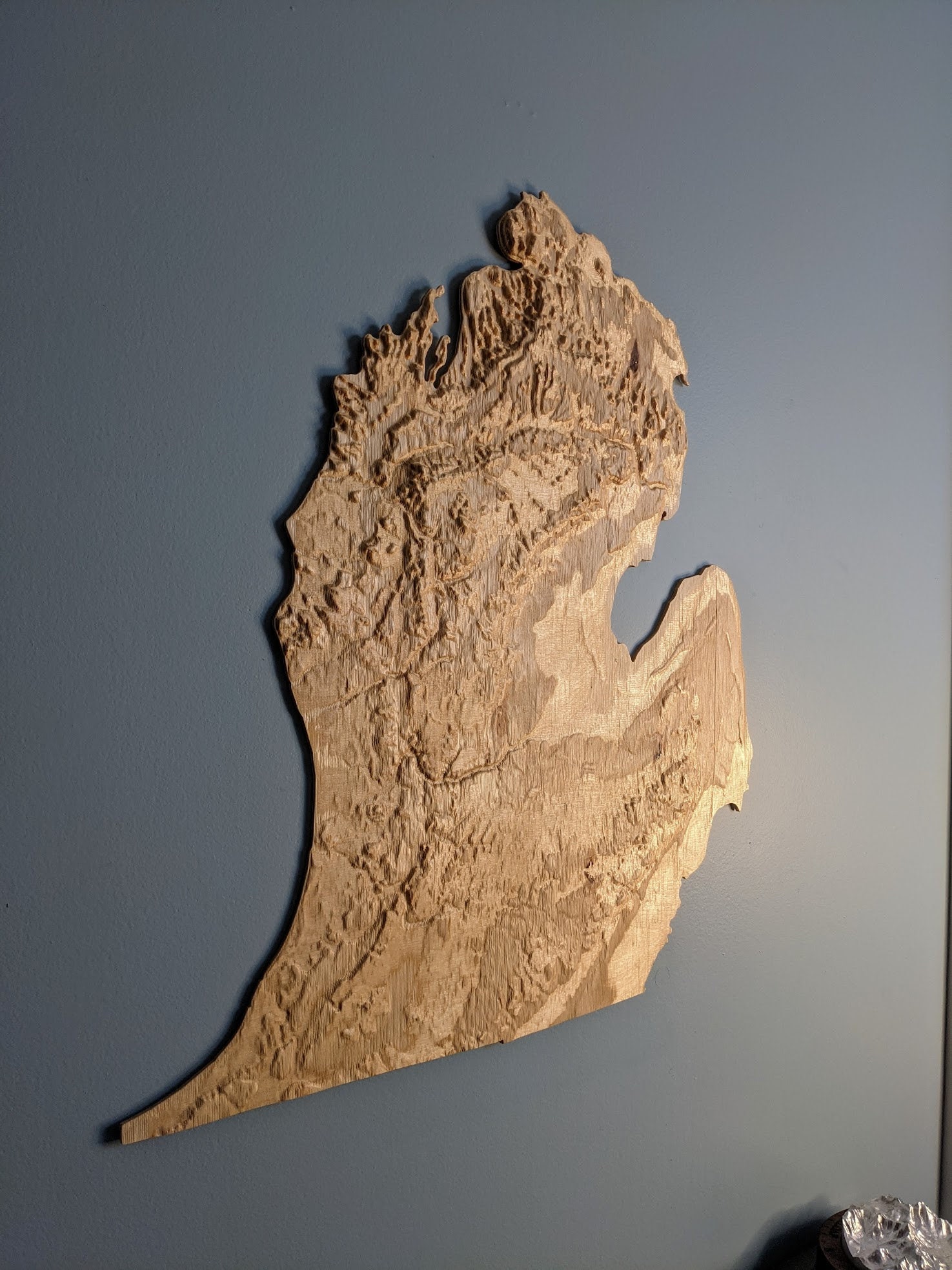 Michigan State 'mitten' 3D Topographic Map Wood Relief Carving - Etsy