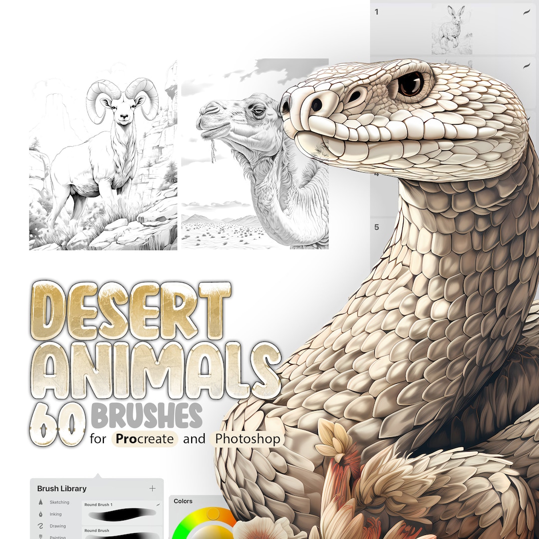 60 Desert Animals Procreate Stamp Brushes, Camel, Fennec, Fox, Kangaroo ...