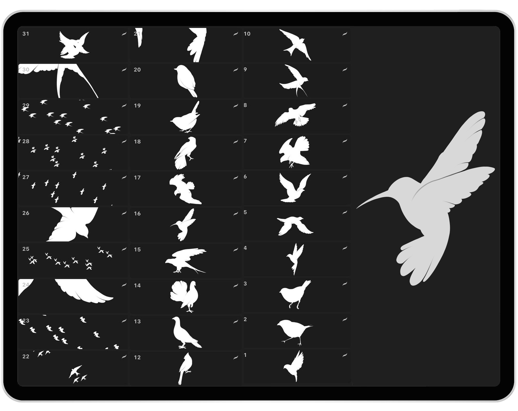 35 Procreate Birds Brushes Procreate Wild Birds Stamp - Etsy