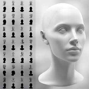 100 Procreate 3D Heads Stamp Brushes | Procreate Women 3D Heads ...