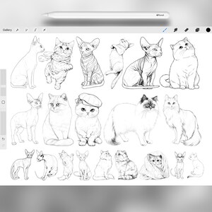 100 Procreate Cats Stamp Brushes Procreate Animals Stamp Brushes ...
