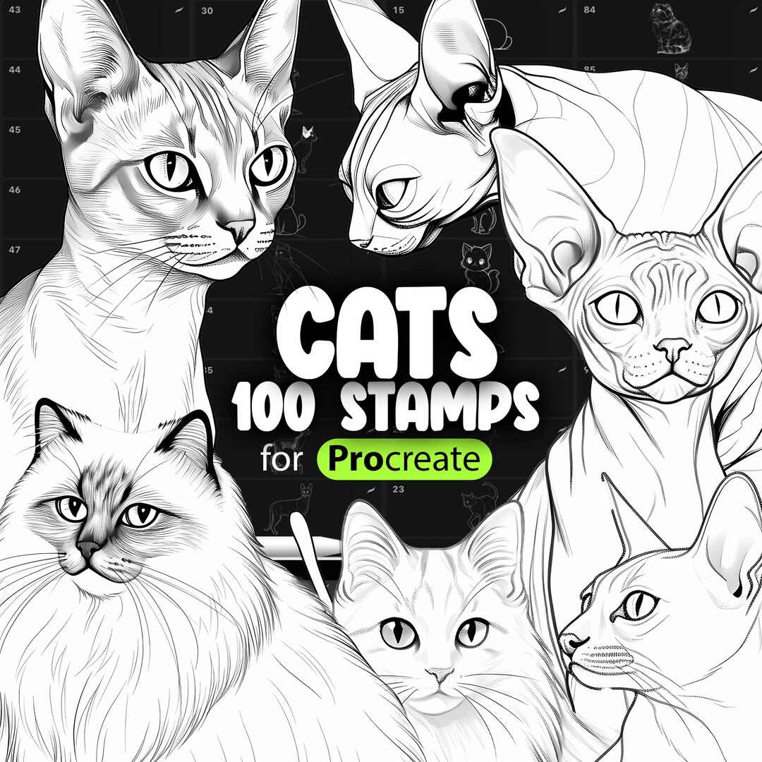 100 Procreate Cats Stamp Brushes Procreate Animals Stamp Brushes ...
