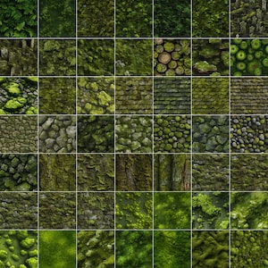 100 Procreate Moss Textures | Forest Moss Procreate Texture Seamless ...