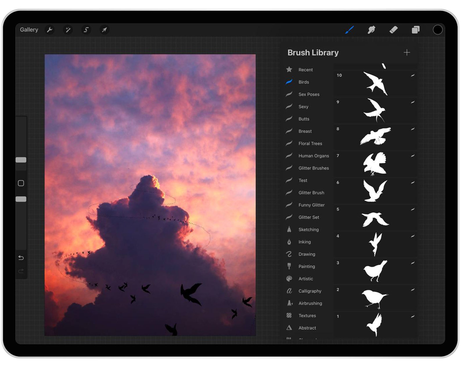 35 Procreate Birds Brushes Procreate Wild Birds Stamp - Etsy