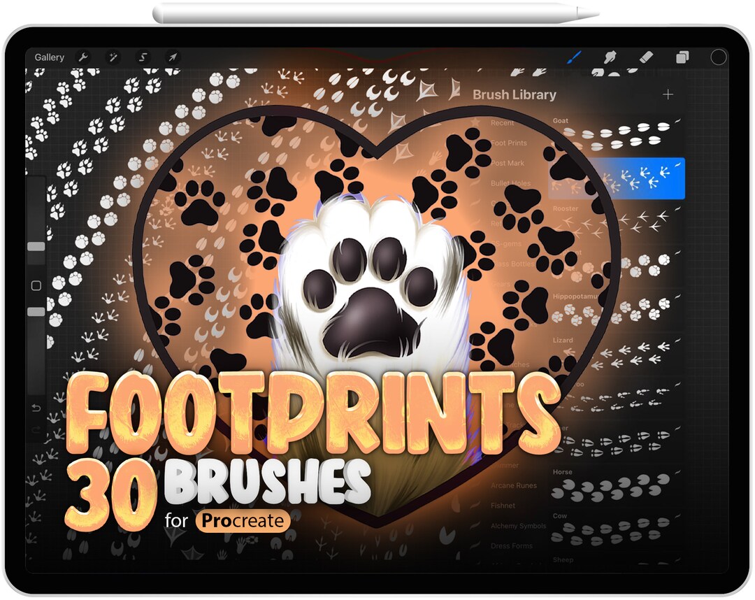30 Procreate Footprints Brushes, Procreate Animals Footprint, Raccoon ...