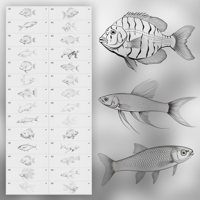 100 Procreate Fish Stamp Brushes | Photoshop Fish Brush | Clip Studio ...