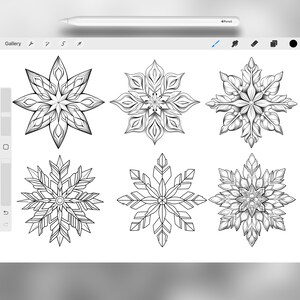 100 Procreate Snowflakes Stamps | Procreate Winter Stamp Brushes ...