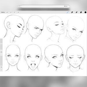 150 Procreate Girls Head Base Stamps | Photoshop Female Head Guide Stamps | Clip Studio Paint ...