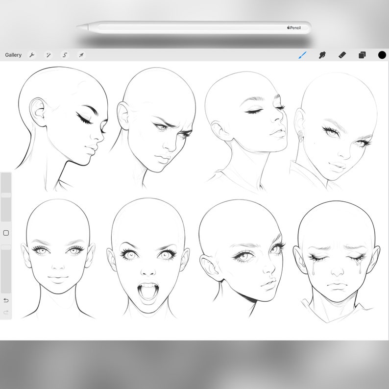 150 Procreate Girls Head Base Stamps | Photoshop Female Head Guide ...