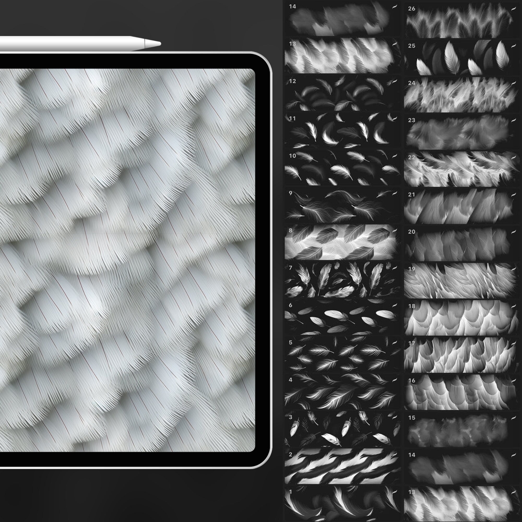 100 Procreate Feather Textures | Bird Feather Procreate Texture ...