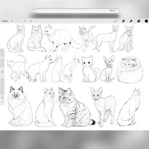100 Procreate Cats Stamp Brushes Procreate Animals Stamp Brushes ...