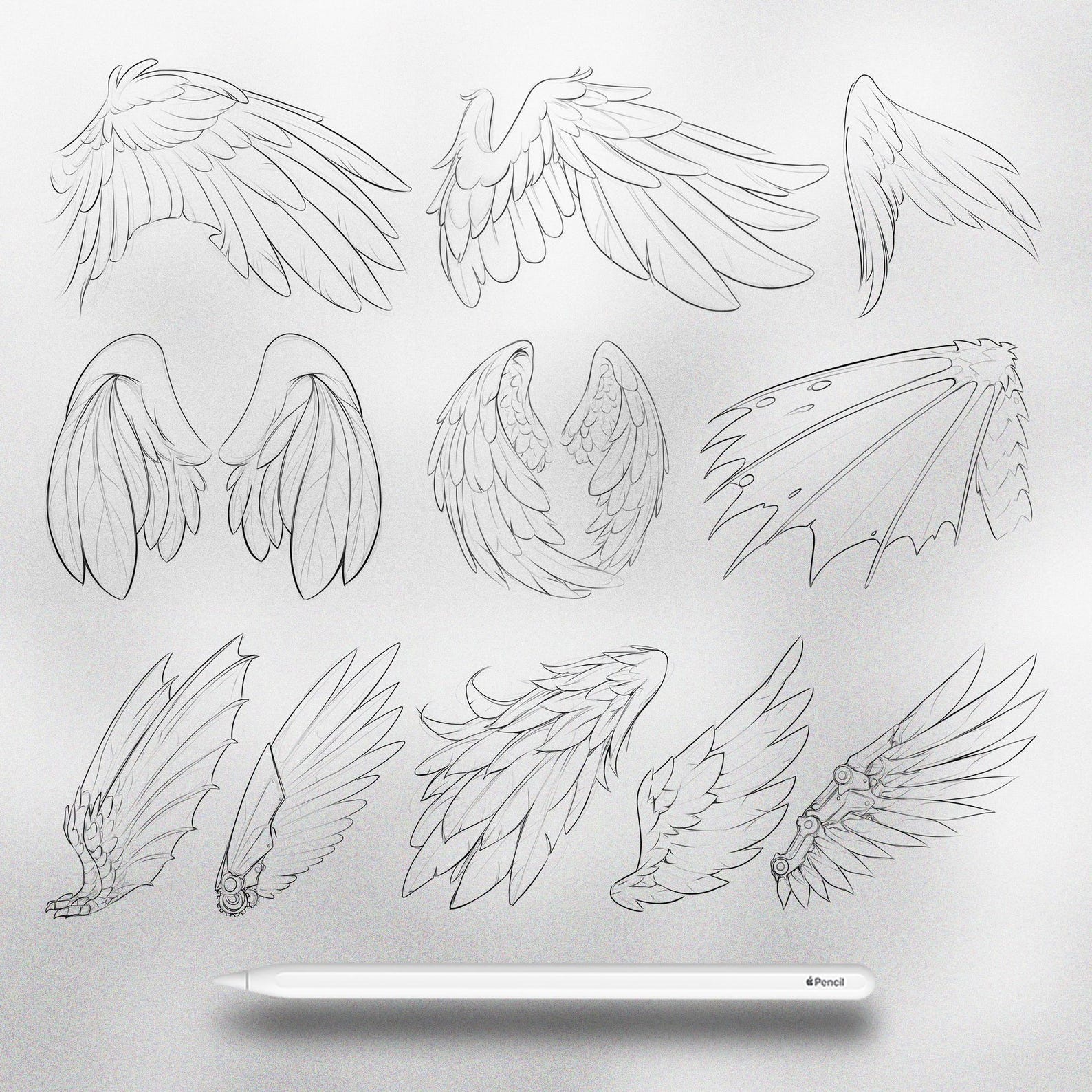 110 Procreate Wings References Stamps | Angel Wings Procreate | Bat ...