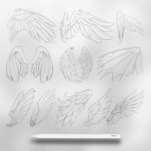 110 Procreate Wings References Stamps | Angel Wings Procreate | Bat ...