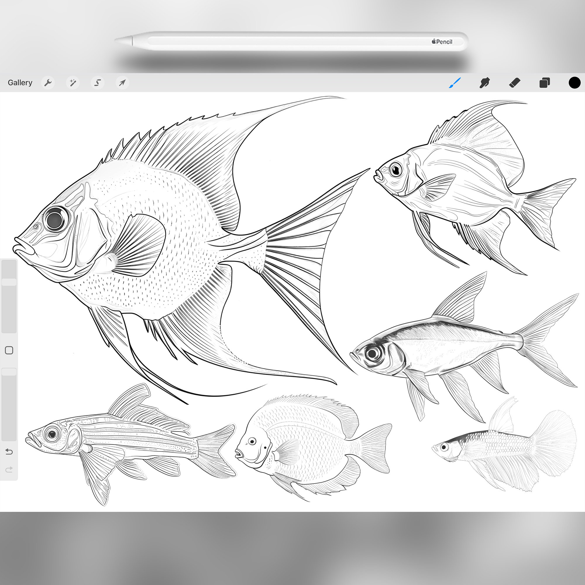 100 Procreate Fish Stamp Brushes | Photoshop Fish Brush | Clip Studio ...