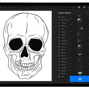 20 Skull Reference Stamps for Procreate, Procreate Heads Brushes Stamps ...