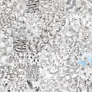 110 Procreate Animals Patterns | Animal Procreate Seamless Pattern ...