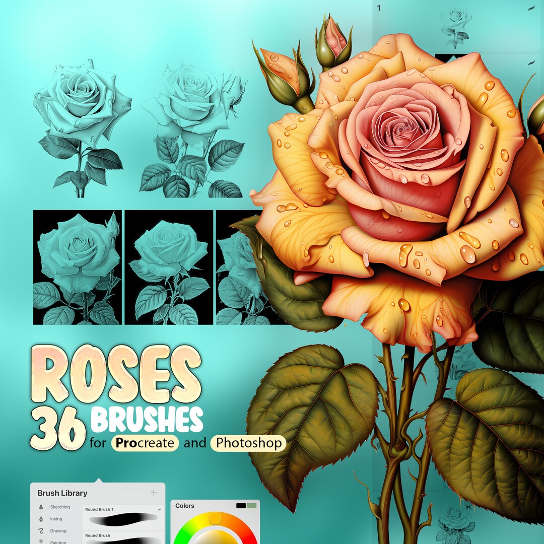 36 Roses Procreate Stamp Brushes, Procreate Flowers Stamp Brush - Etsy