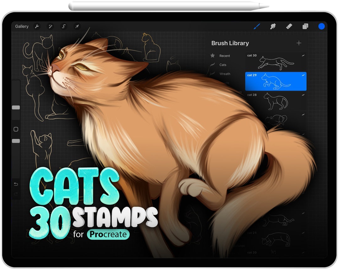 30 pincéis de carimbo de gato Procreate, referência de gatos Procreate, pincéis de carimbo de ...