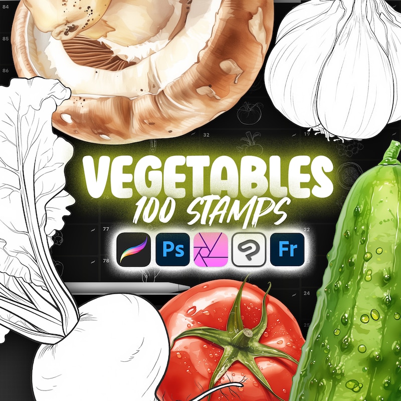 Vegetable Stamp - Etsy
