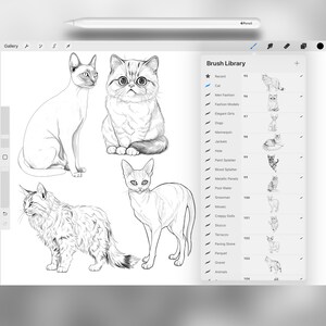100 Procreate Cats Stamp Brushes Procreate Animals Stamp Brushes ...