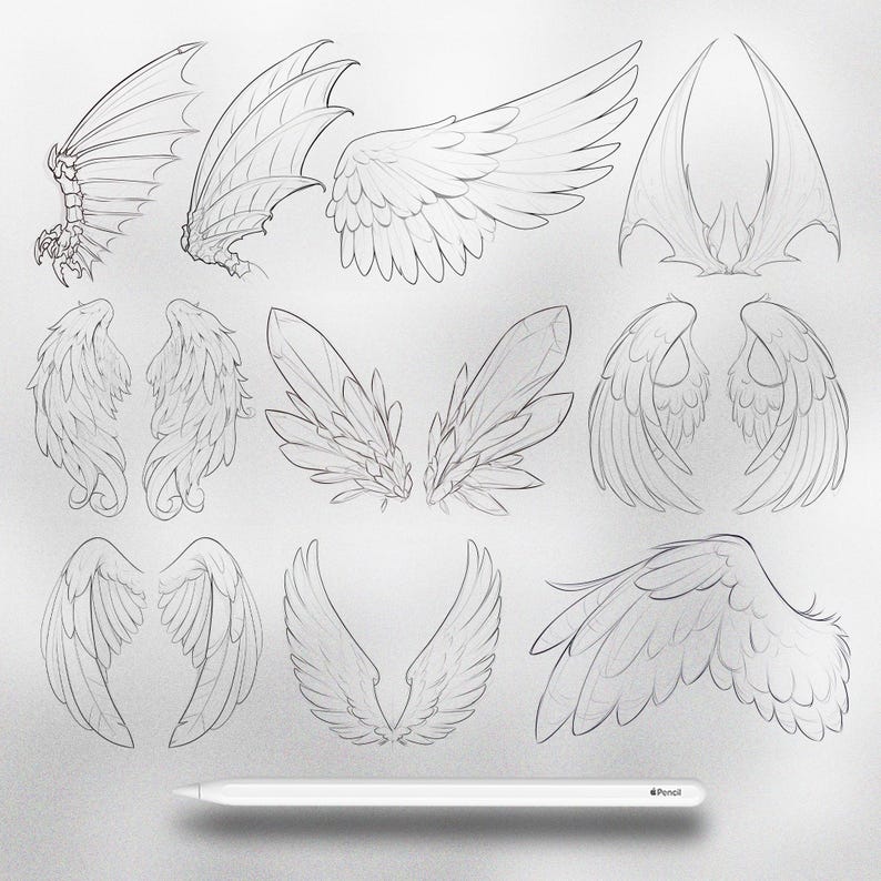 110 Procreate Wings References Stamps | Angel Wings Procreate | Bat ...