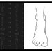 20 Procreate Foots Stamp Brushes, Procreate Body Stamps, Procreate Foot ...