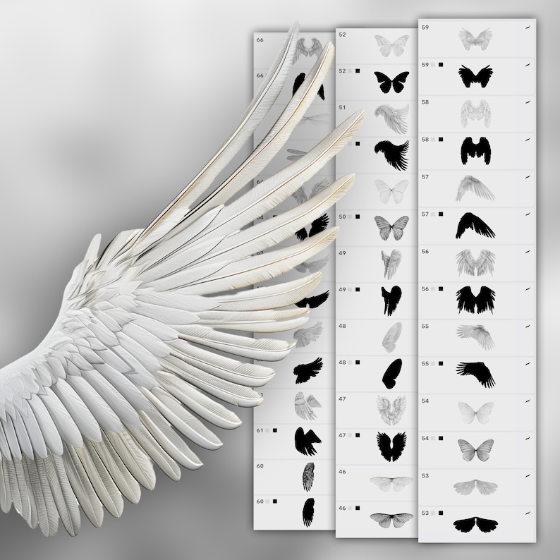 100 Procreate 2D Wings Stamp Brushes | Procreate Bird Wings Stamps ...