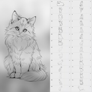 100 Procreate Cats Stamp Brushes Procreate Animals Stamp Brushes ...
