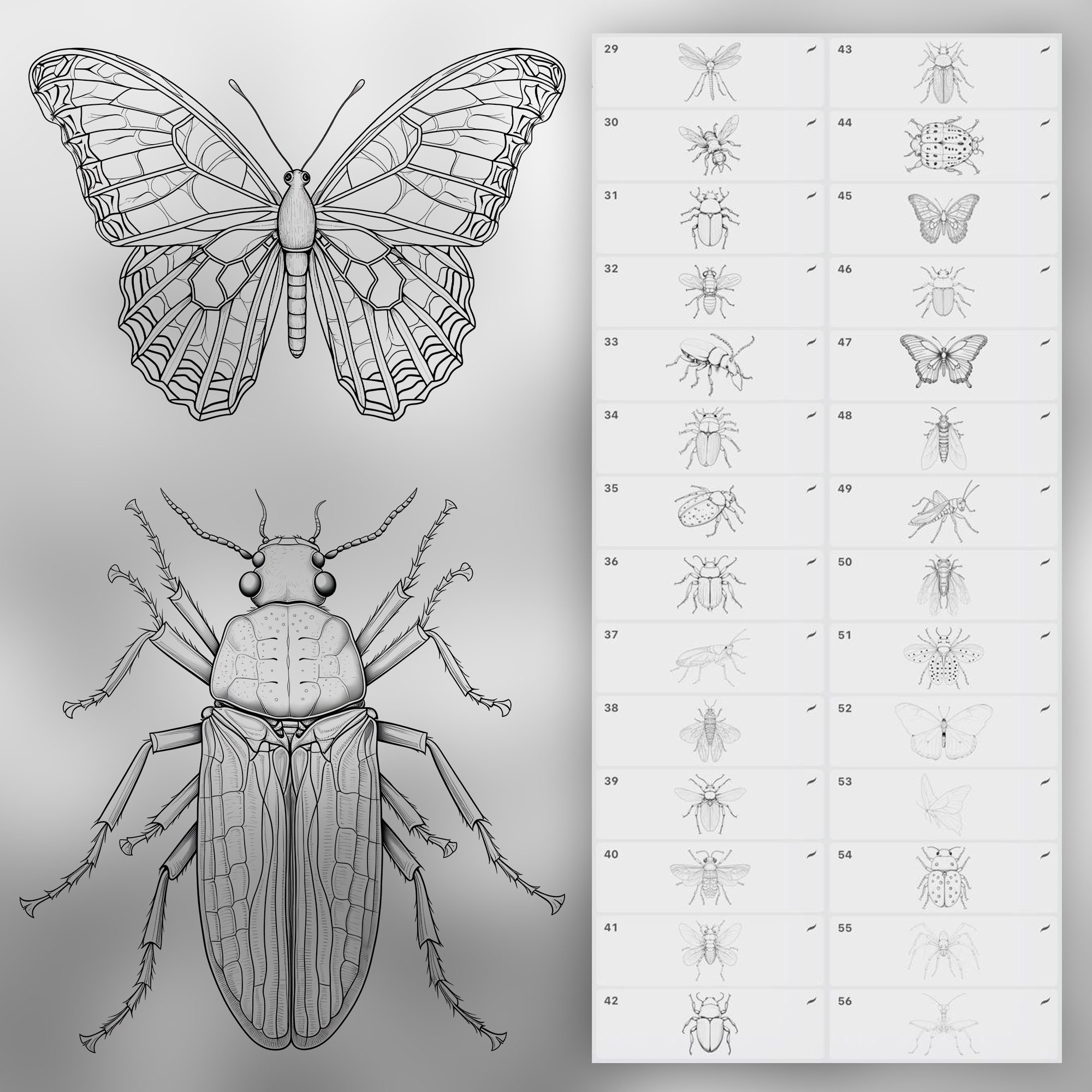 110 Procreate Beetles Stamp Brushes | Photoshop Bugs Stamp Brushes ...